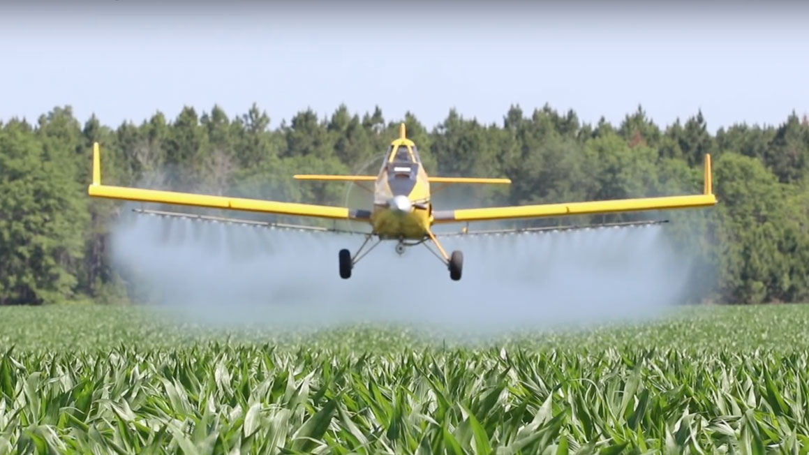 Tell the USDA: Stop the Madness and Reject Bayer-Monsanto’s MON-87429 ...