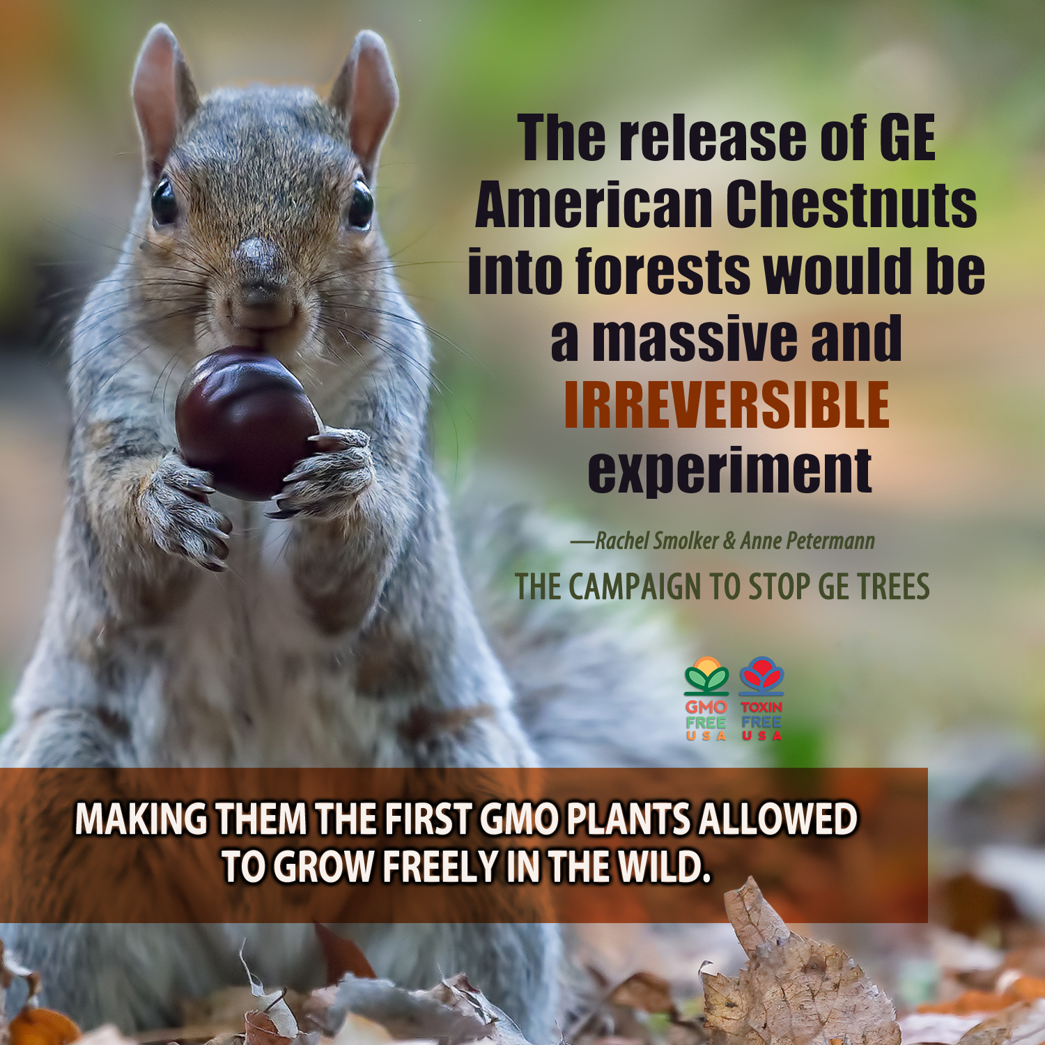 Stop Genetically Engineered American Chestnut Trees