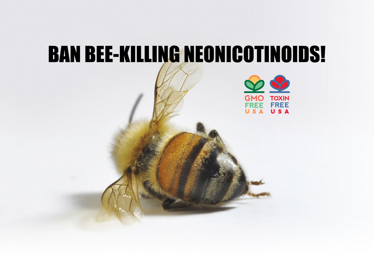 Ban Neonicotinoid Insecticides
