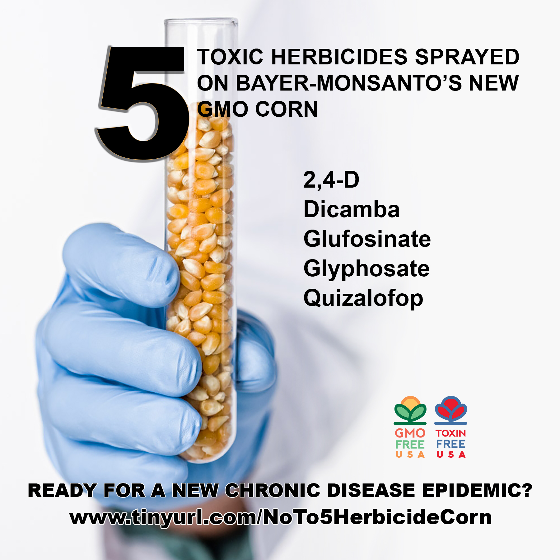 Tell the USDA: Stop the Madness and Reject Bayer-Monsanto’s MON-87429 ...