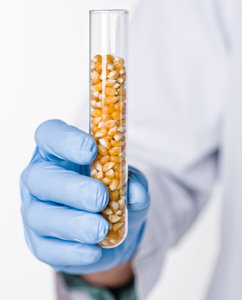 Tell the USDA: Stop the Madness and Reject Bayer-Monsanto’s MON-87429 ...
